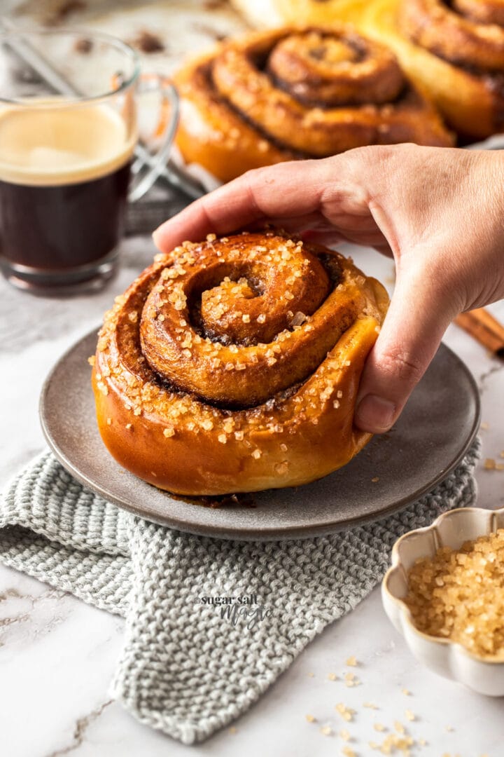 Jumbo Swedish Cinnamon Buns - Sugar Salt Magic