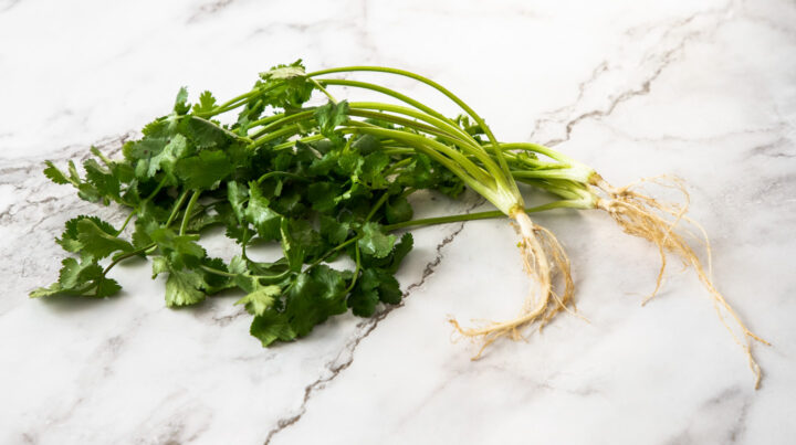 Thai Green Curry Paste - Sugar Salt Magic