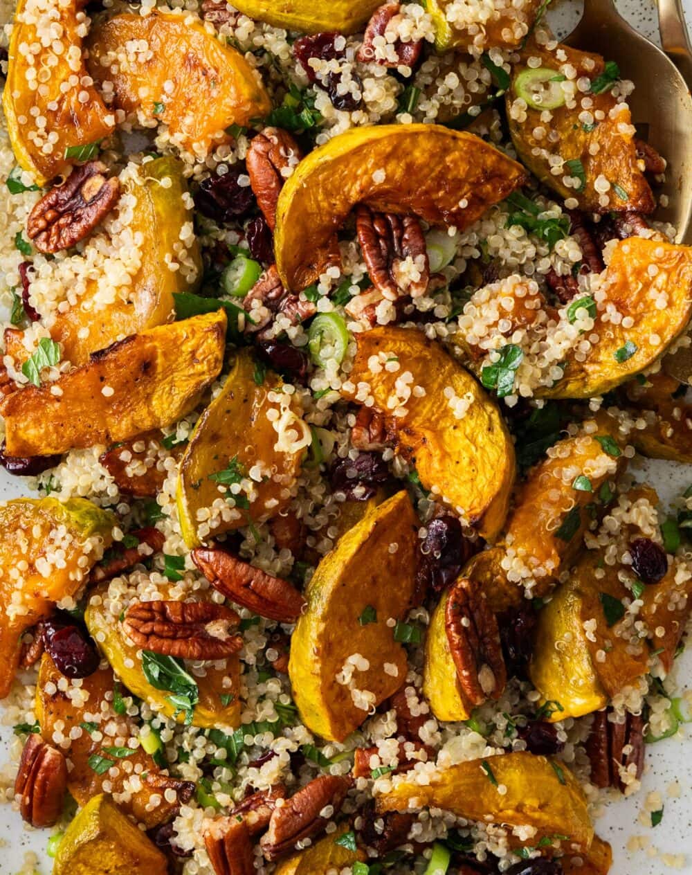 Pumpkin Quinoa Salad - Sugar Salt Magic