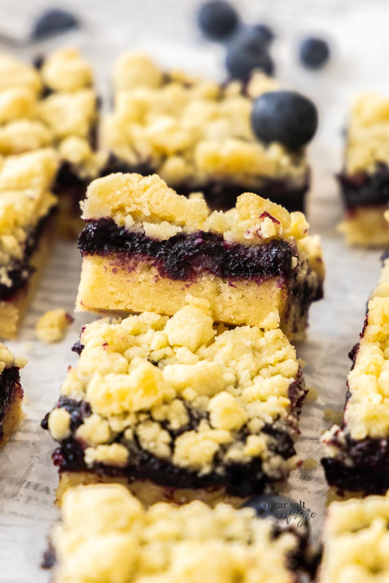 Blueberry Crumble Bars - Sugar Salt Magic