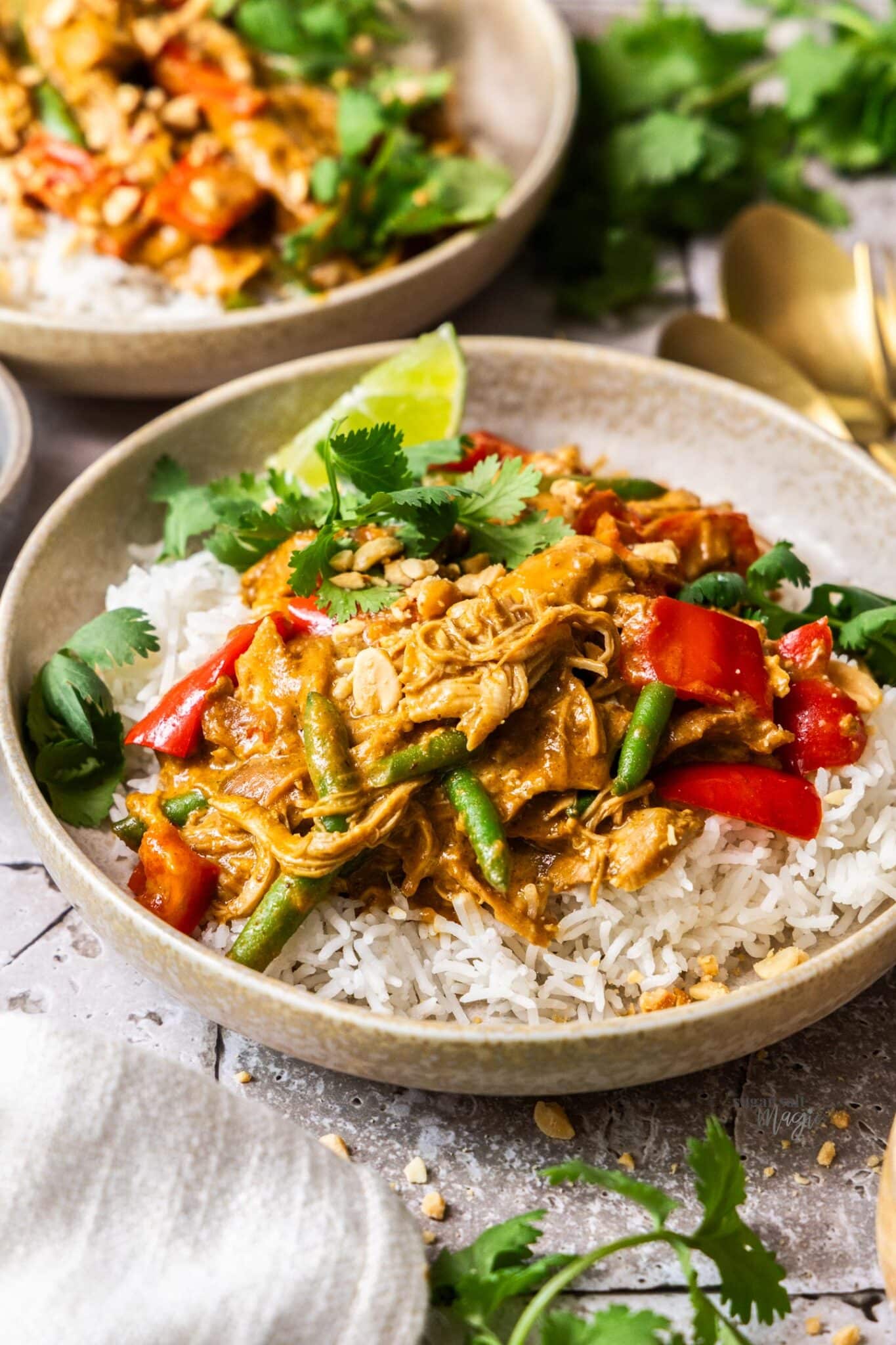 Slow Cooker Satay Chicken - Sugar Salt Magic