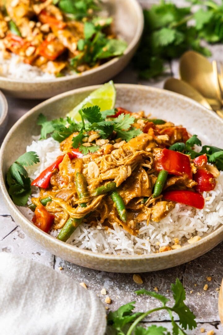 Slow Cooker Satay Chicken - Sugar Salt Magic