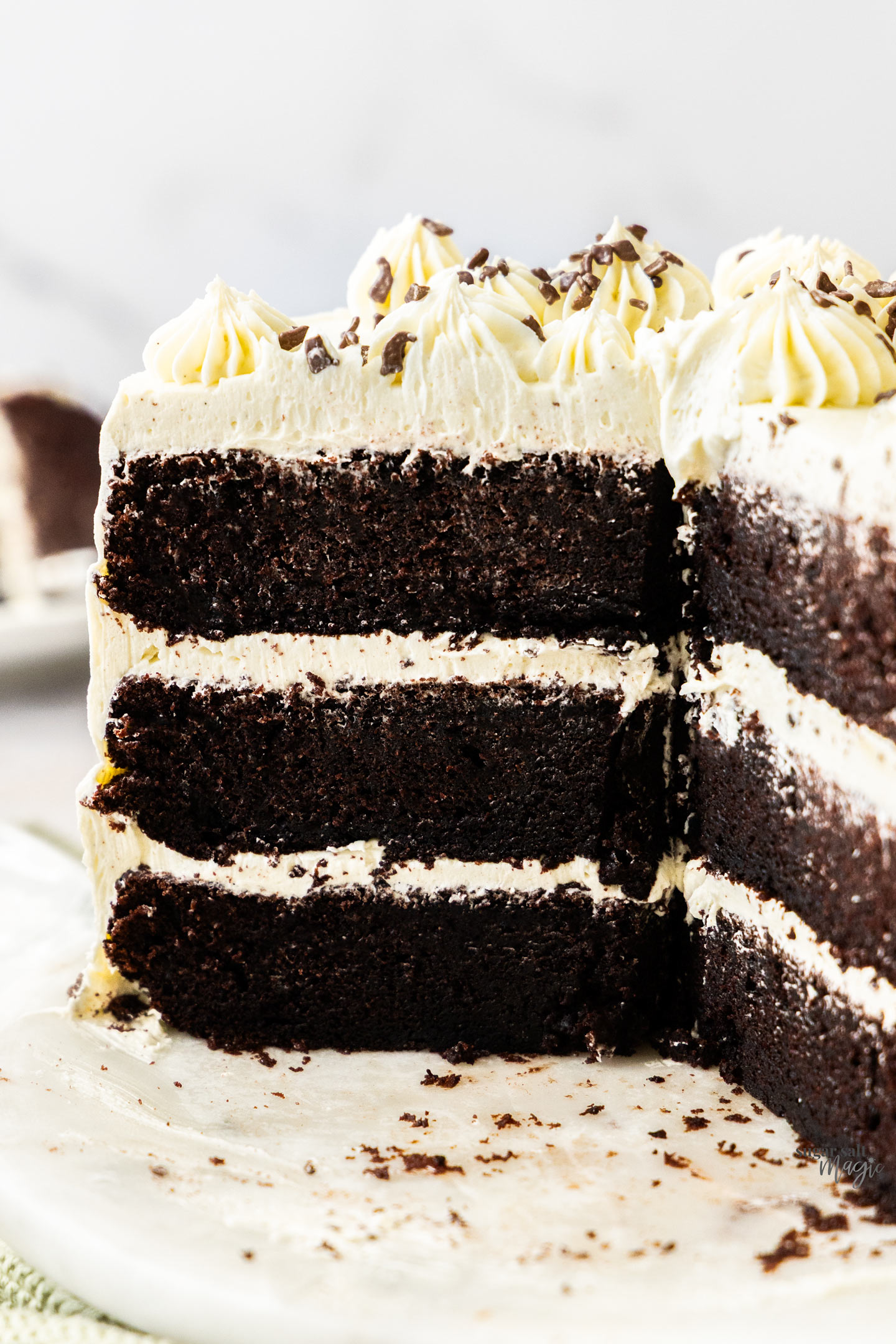 Vanilla And Chocolate Cake Ideas
